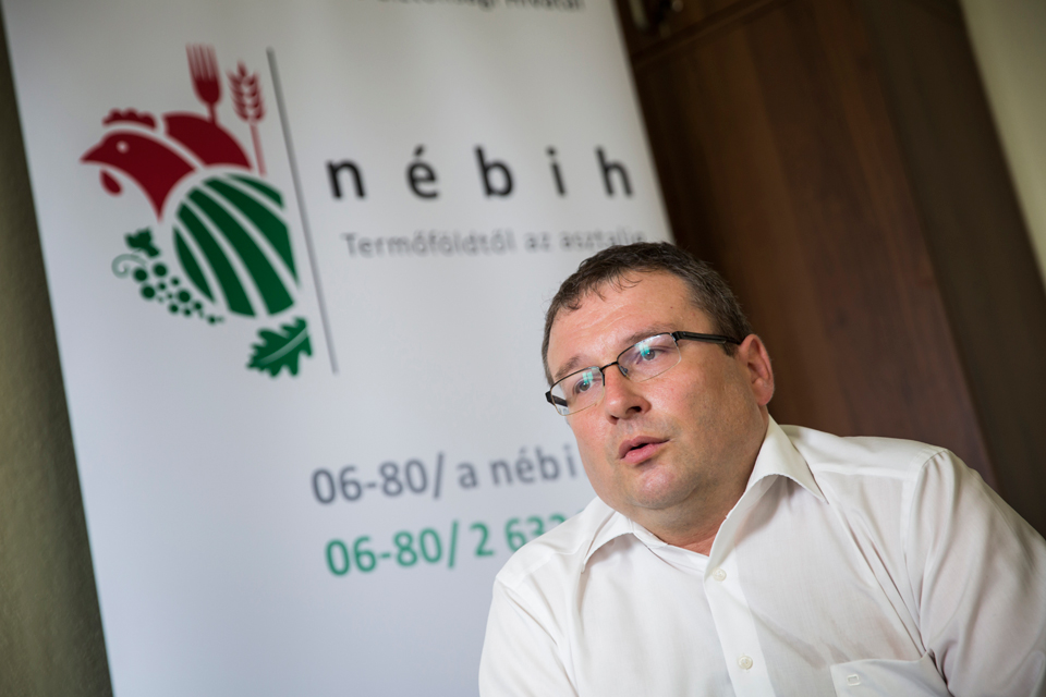 Nébih: az ünnepek alatt főként az édességeket és a húskészítményeket ...